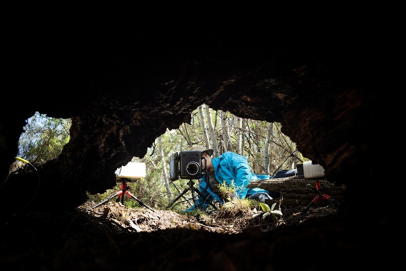 The Grants Hub - Australia's Leading Grant Finder | Directory